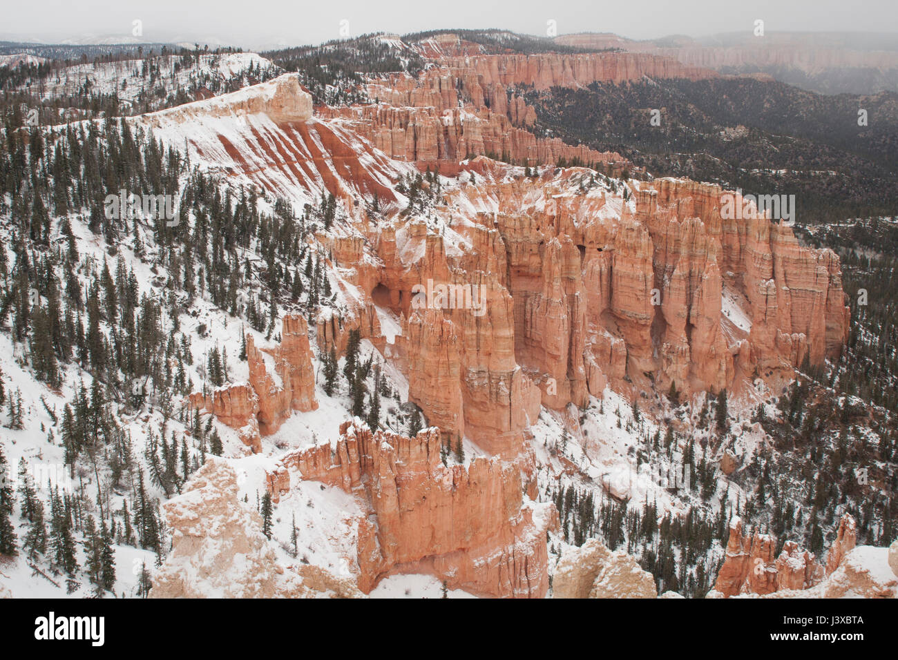 Hoodoos (irregularly-shaped earthen spires) in winter at Bryce Canyon ...
