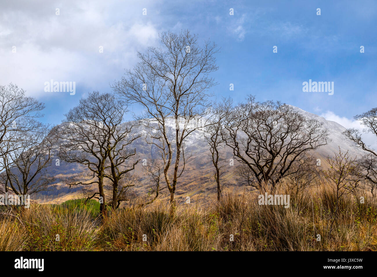 Scenic natural beauty in Glen Coe; a glen of volcanic origins, in the ...