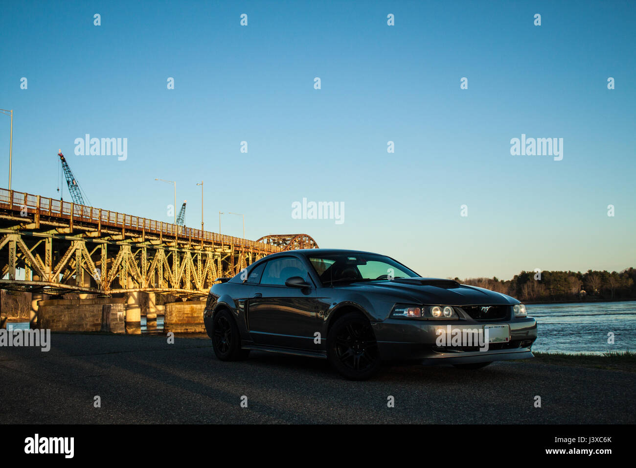 Mustang Cobra Terminator Wallpaper