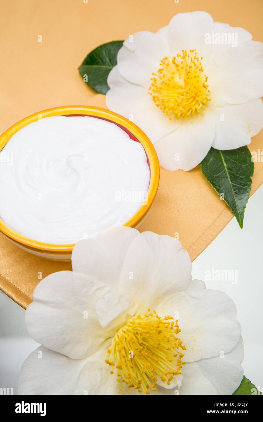 Container rose hi-res stock photography and images - Alamy