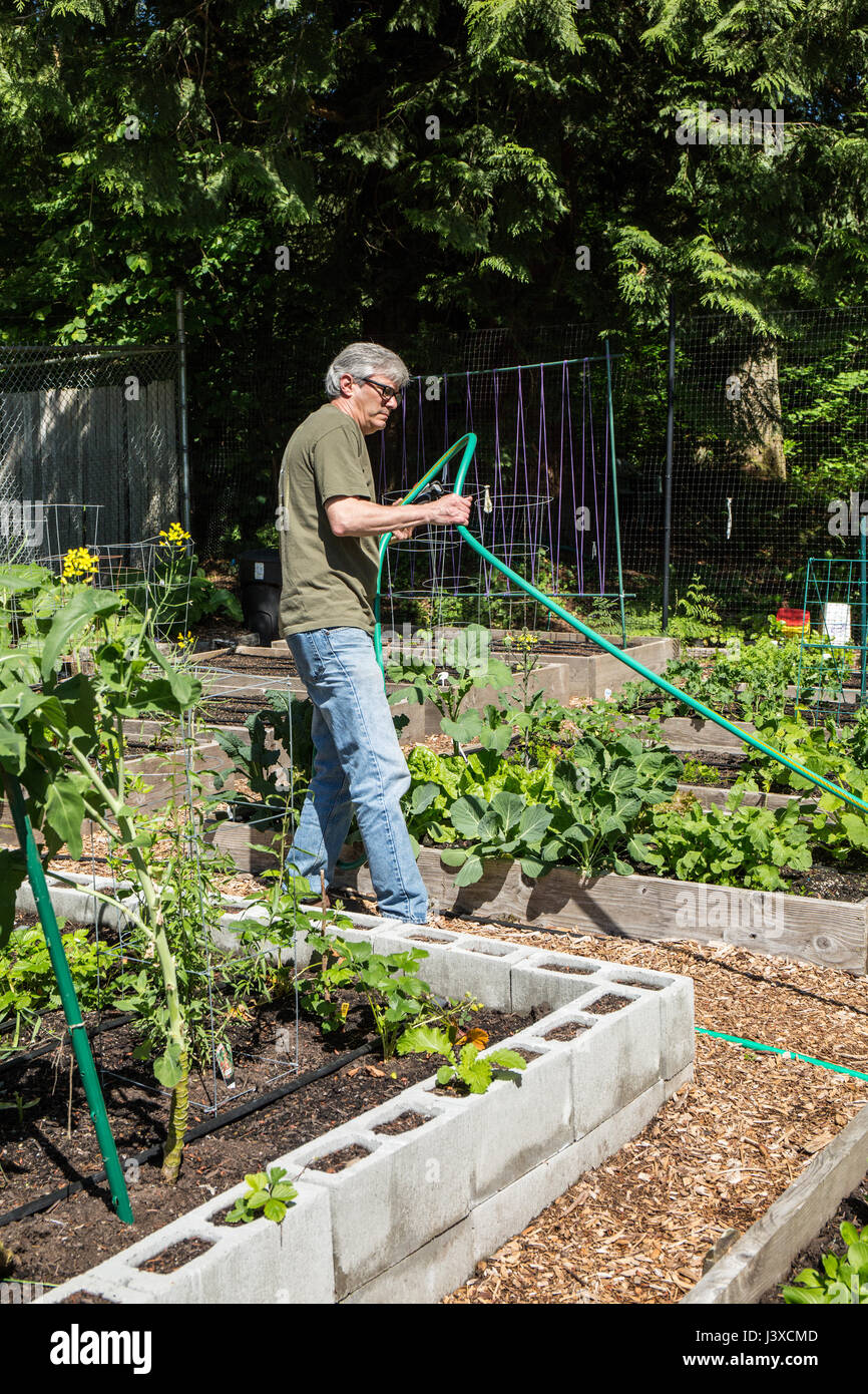 Tugging hi-res stock photography and images - Alamy