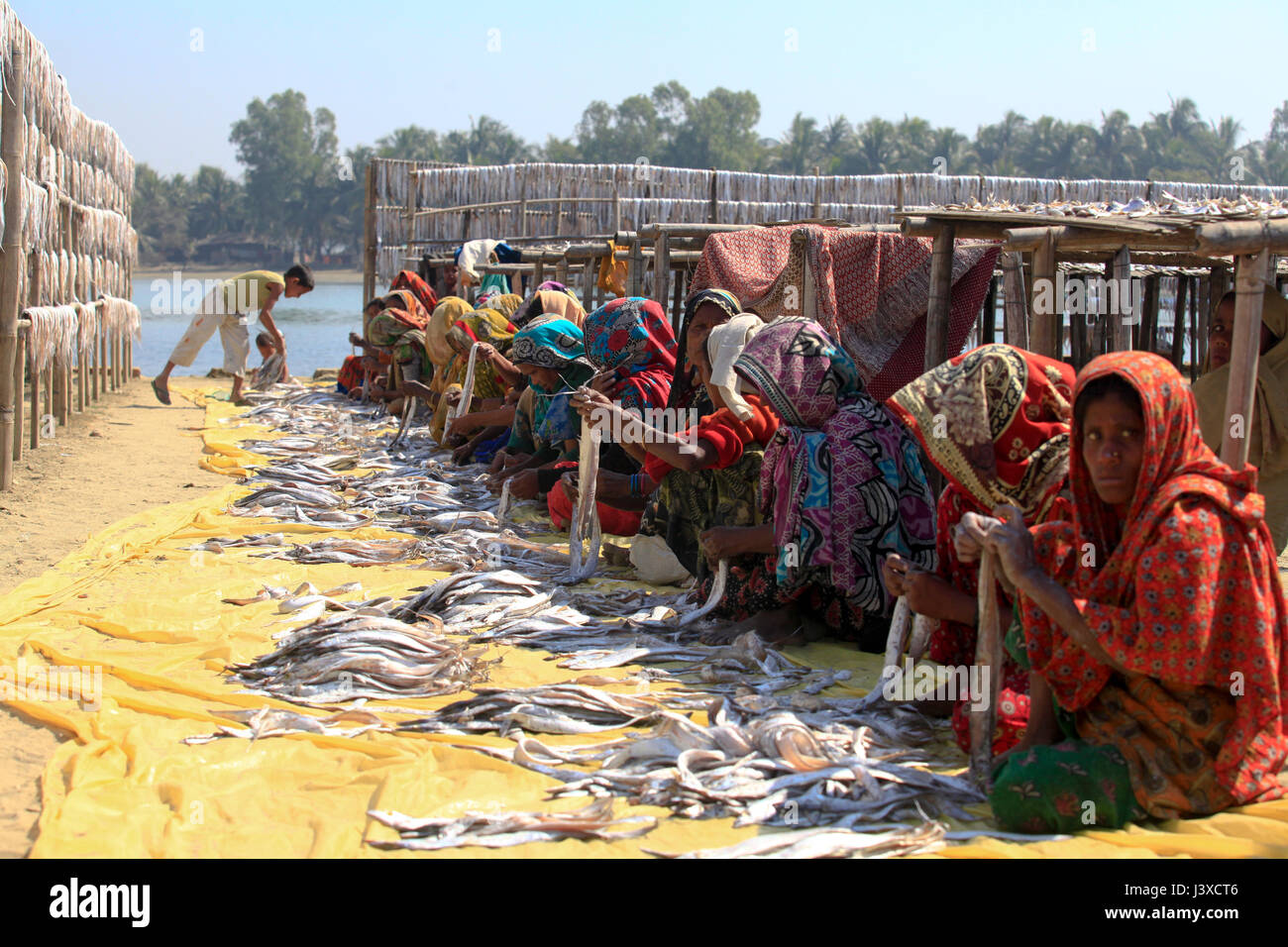 Workers processing fish to be dried at Nazirartek Dry Fish Plant in Cox ...