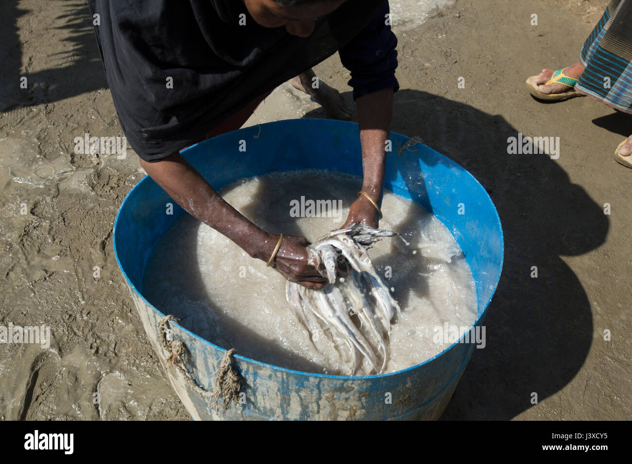 Washing cleaning fish hi-res stock photography and images - Alamy