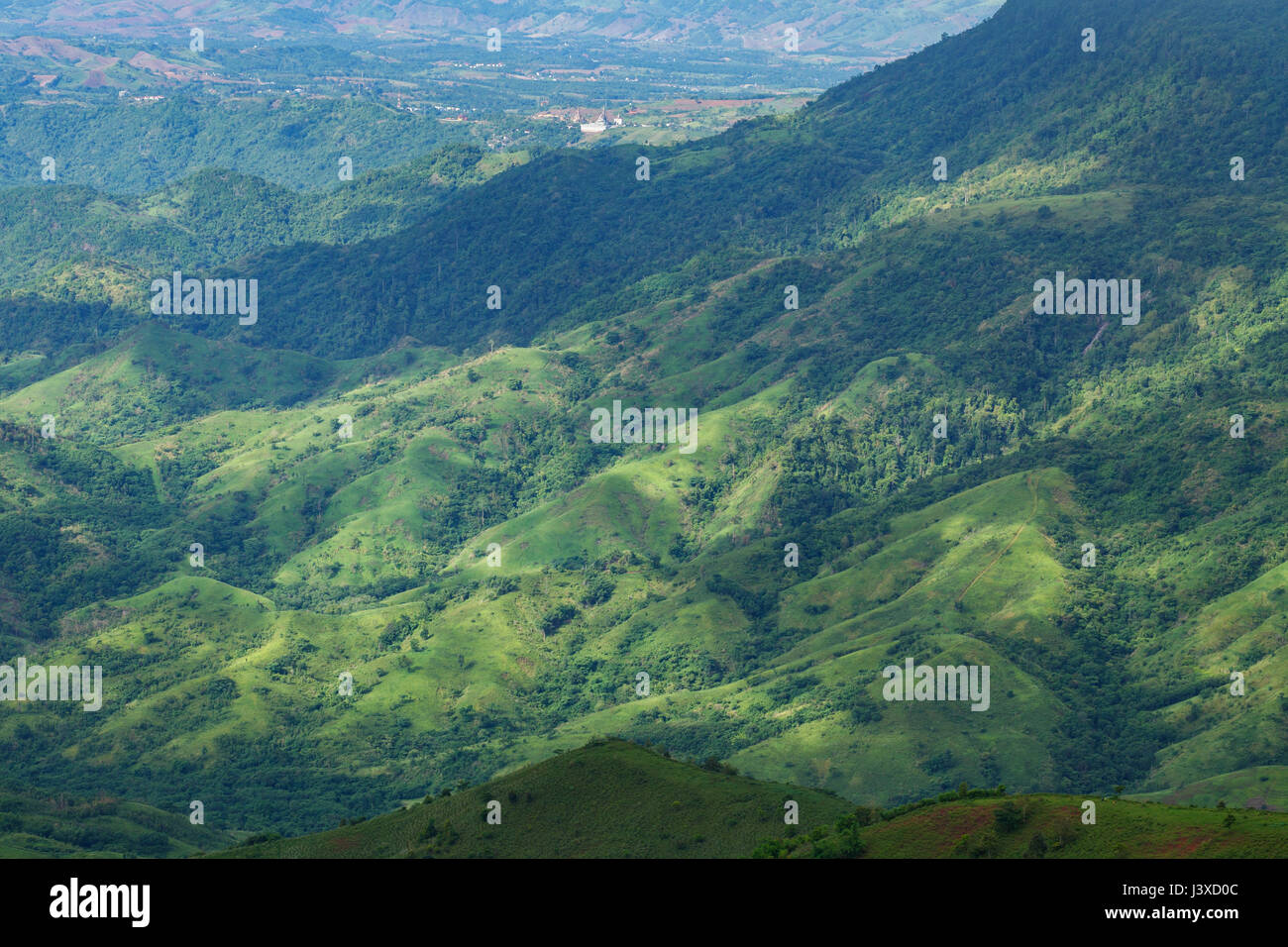 Tropical ravine house hi-res stock photography and images - Alamy