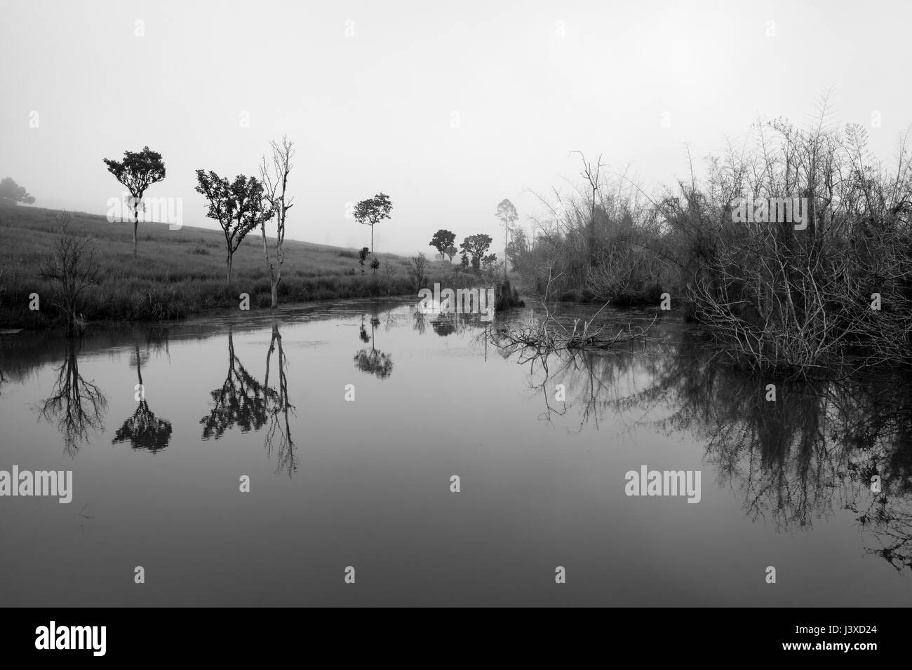 Salang hi-res stock photography and images - Alamy