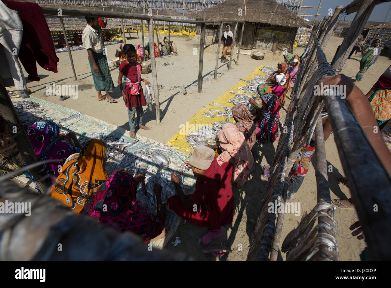 Workers processing fish to be dried at Nazirartek Dry Fish Plant in Cox ...