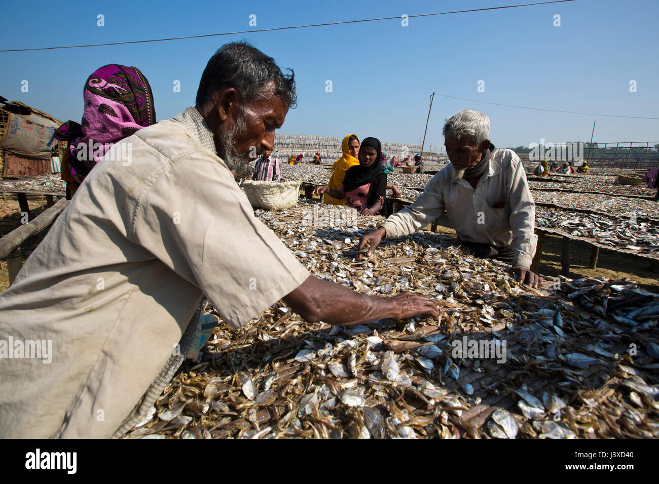 Workers processing fish to be dried at Nazirartek Dry Fish Plant in Cox ...