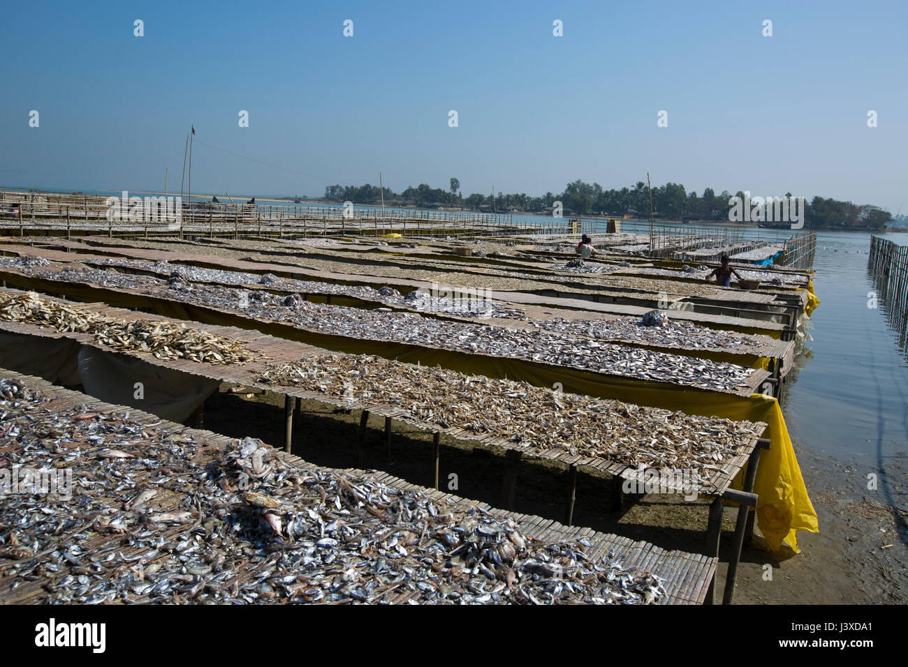 A view of Nazirartek Dry Fish Plant in Cox’s Bazar, Bangladesh Stock ...