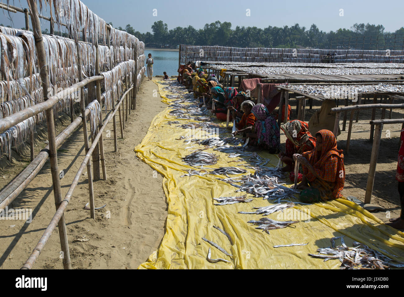 Workers processing fish to be dried at Nazirartek Dry Fish Plant in Cox ...