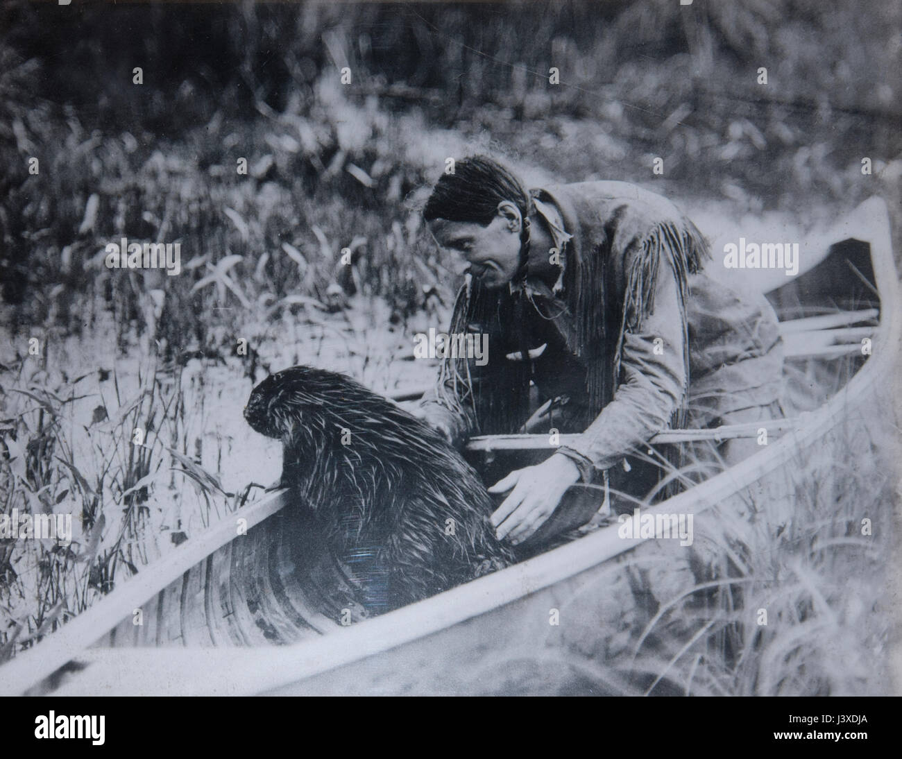 Portrait of Archibald Belaney (known as Grey Owl, 1888-1938) with a ...