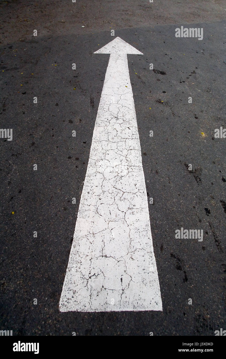 The arrow on the asphalt showing the direction of motion. Road marking ...