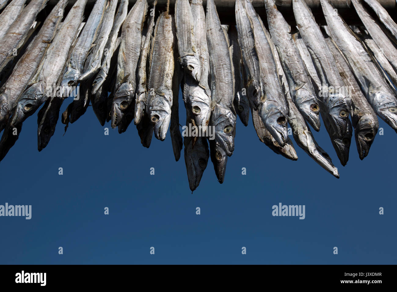 A view of Nazirartek Dry Fish Plant in Cox’s Bazar, Bangladesh Stock ...