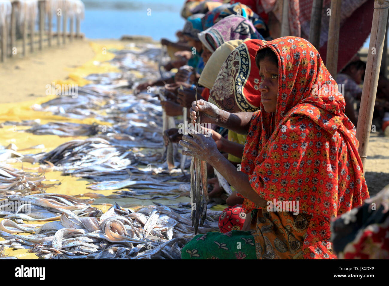 Workers processing fish to be dried at Nazirartek Dry Fish Plant in Cox ...