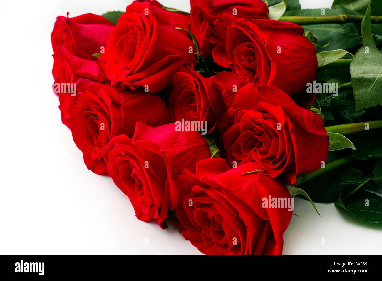 Bouquet of eleven red roses on white background. Close-up Stock Photo ...