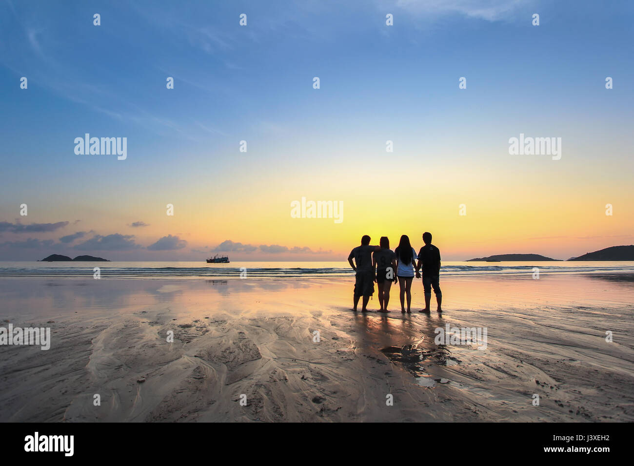 group of happy young people look on beautiful summer sunset at the ...