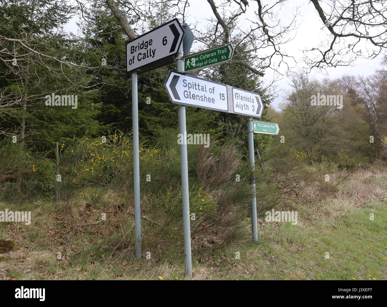 Road to bridge of cally hi-res stock photography and images - Alamy