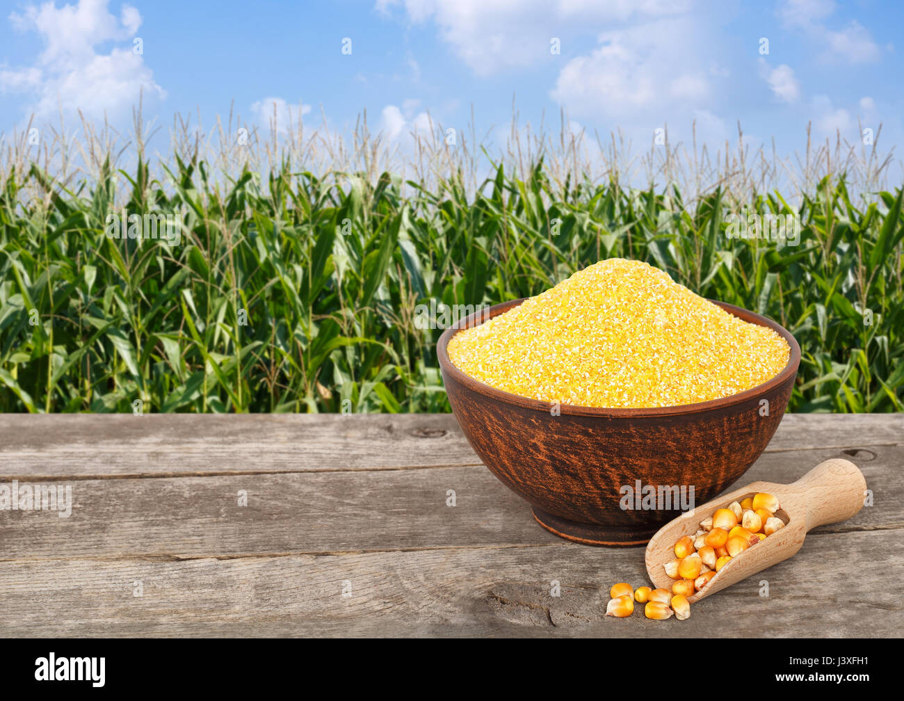 uncooked cornmeal in bowl with scoop on wooden table with green field ...