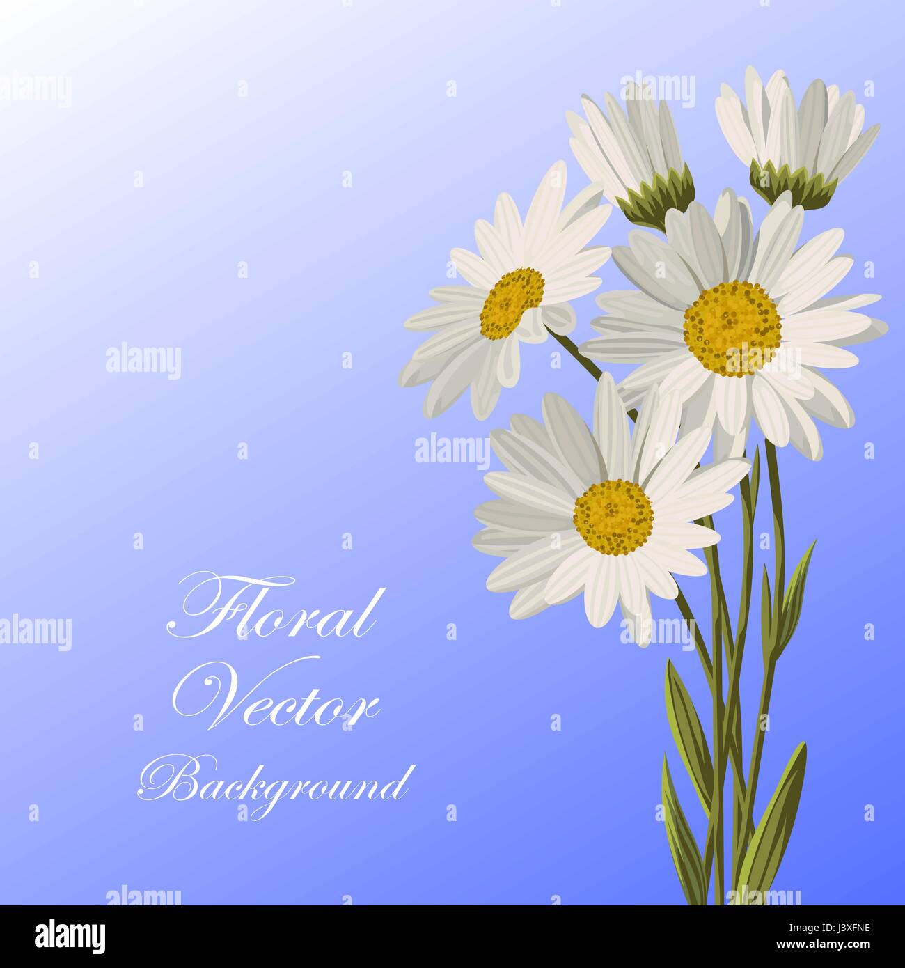 Beautiful white daisies Stock Vector Image & Art - Alamy