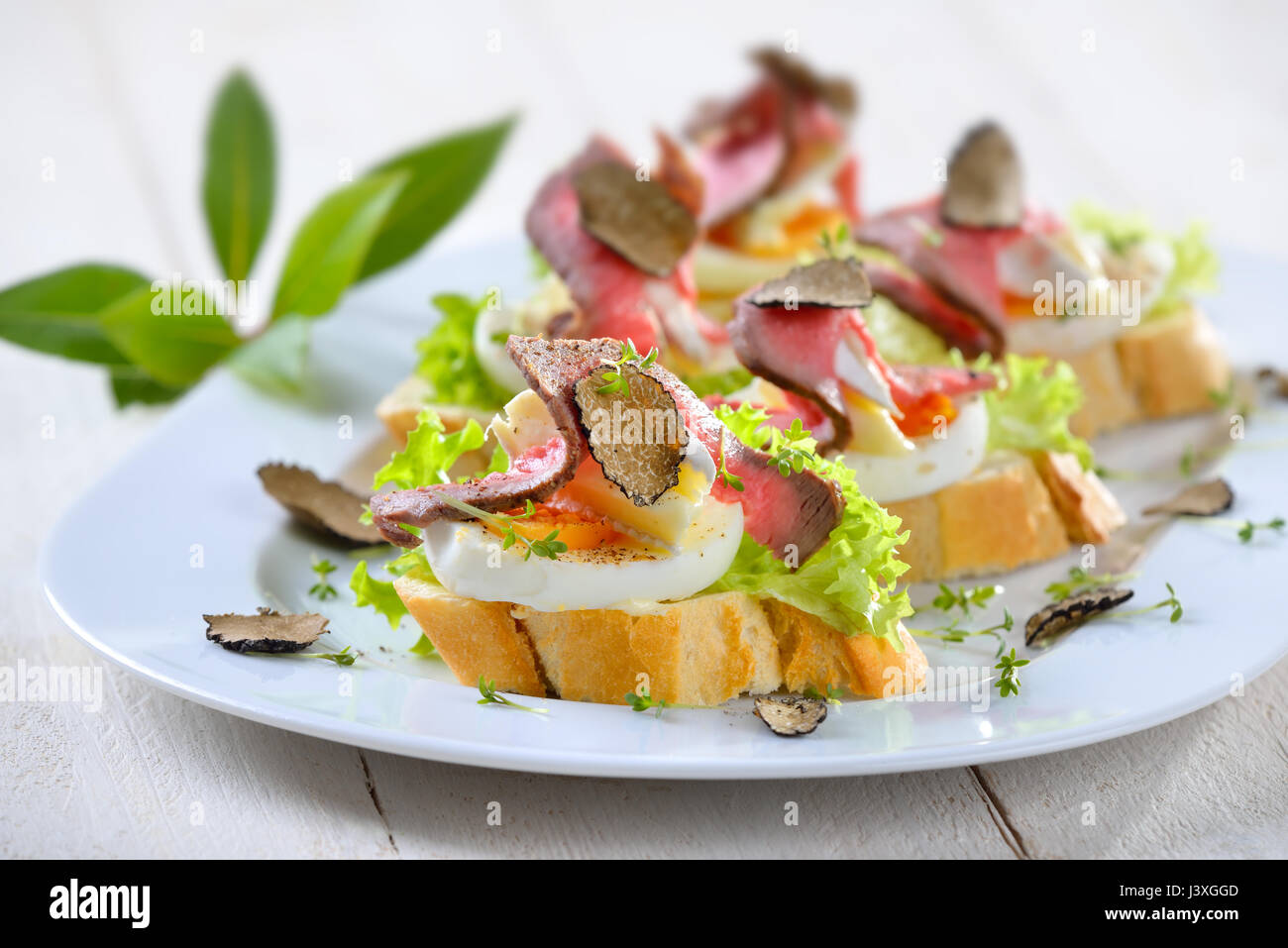 Canapes with roast beef, black autumn truffles, French brie cheese on a ...