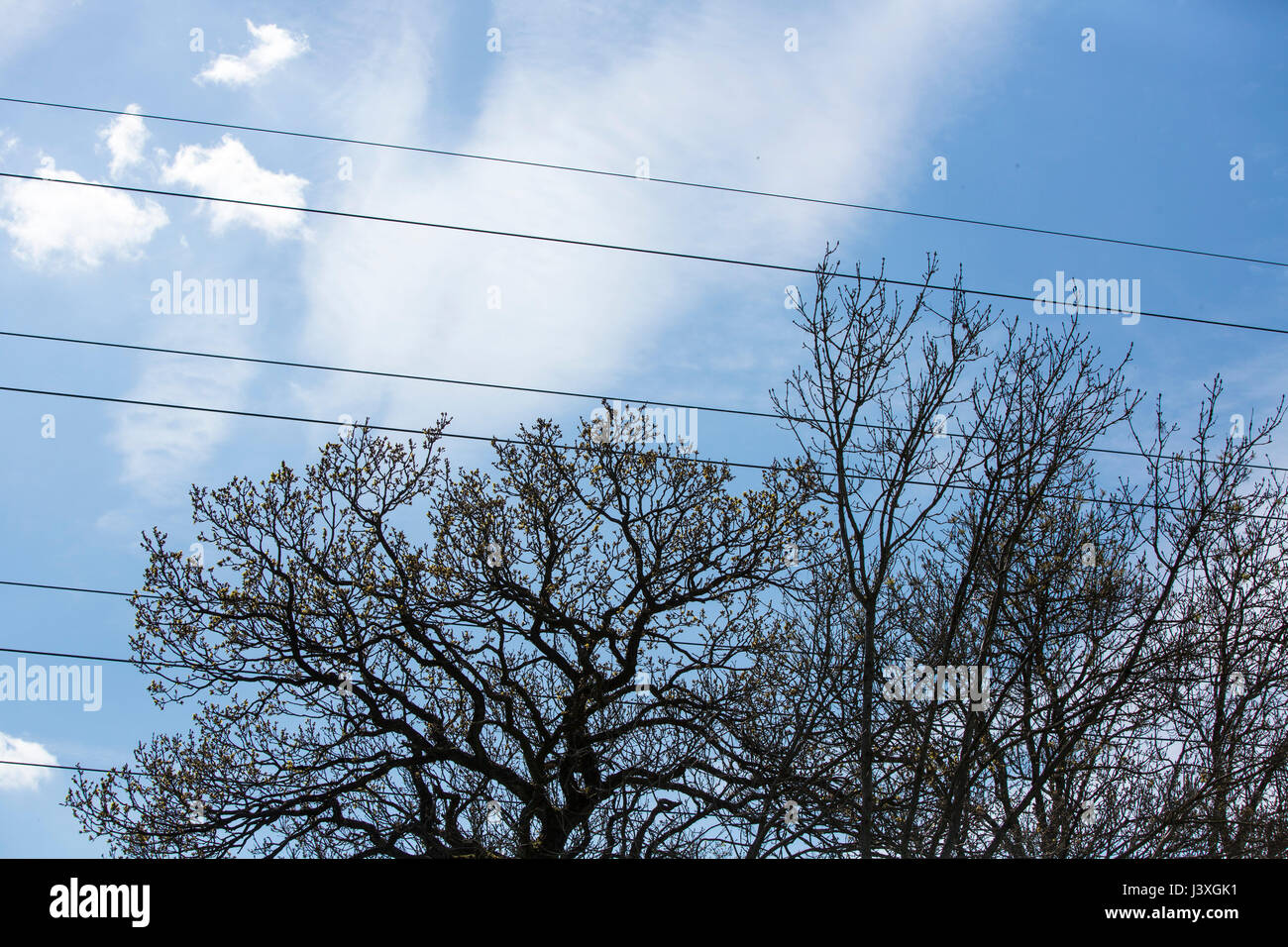 Overhead power or communication wires set against a blue sky with ...