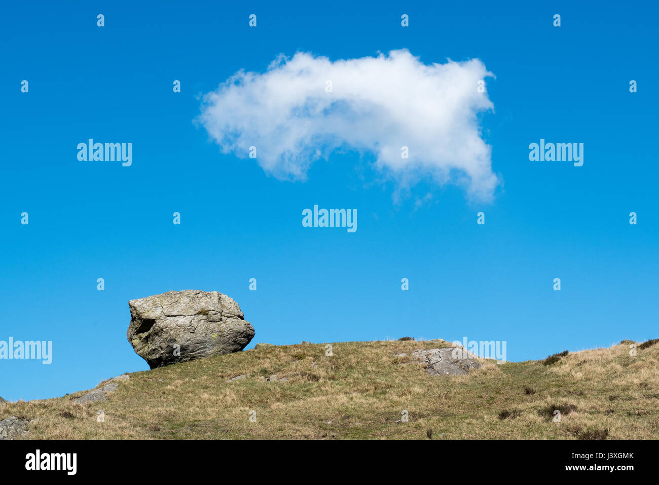 Glacial Erratic rock Stock Photo - Alamy