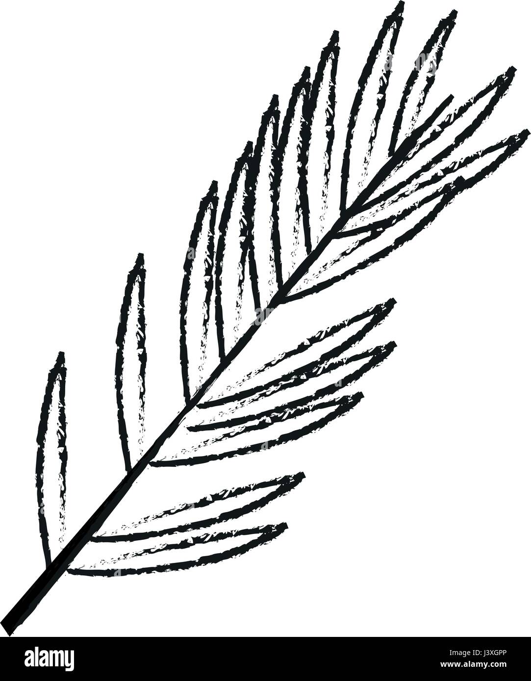 Ramification High Resolution Stock Photography and Images - Alamy