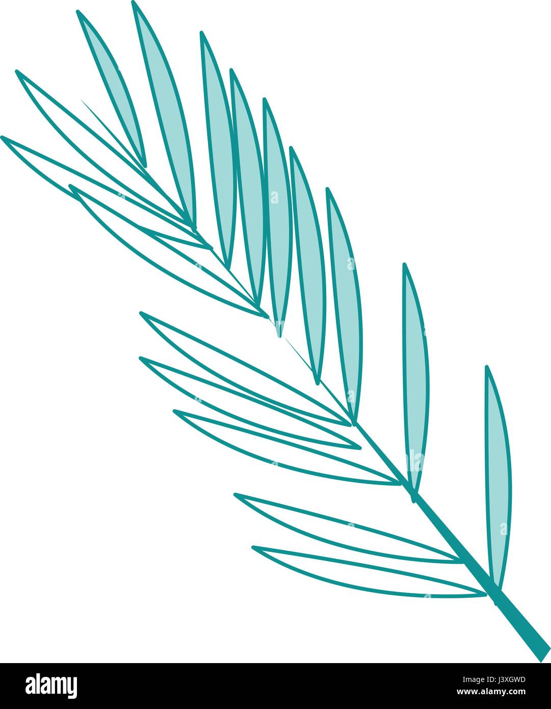 Elongated leaves Stock Vector Images - Alamy