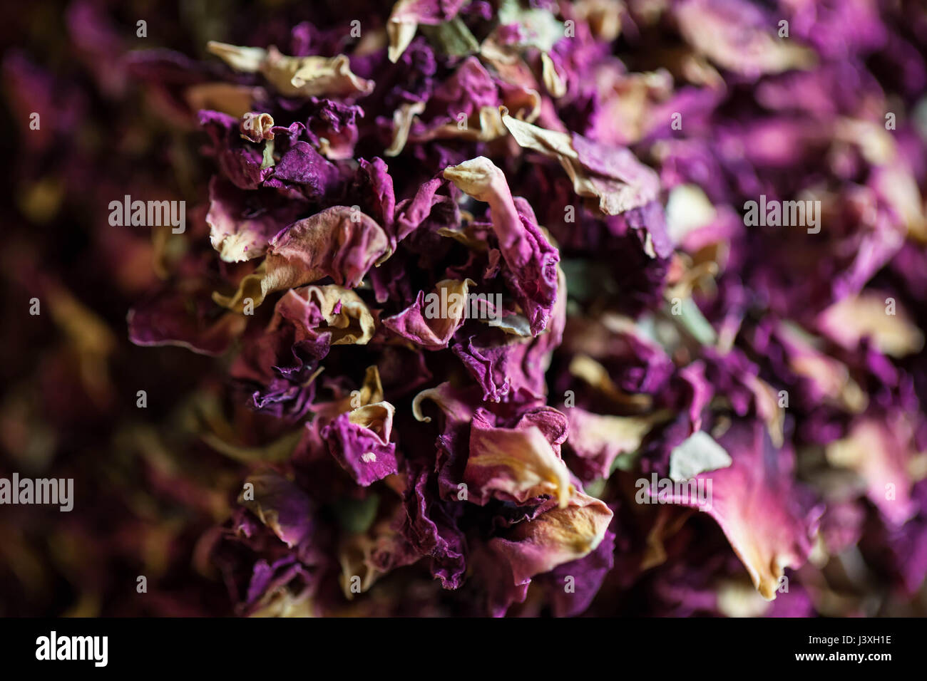 dried pink rose petals Stock Photo - Alamy
