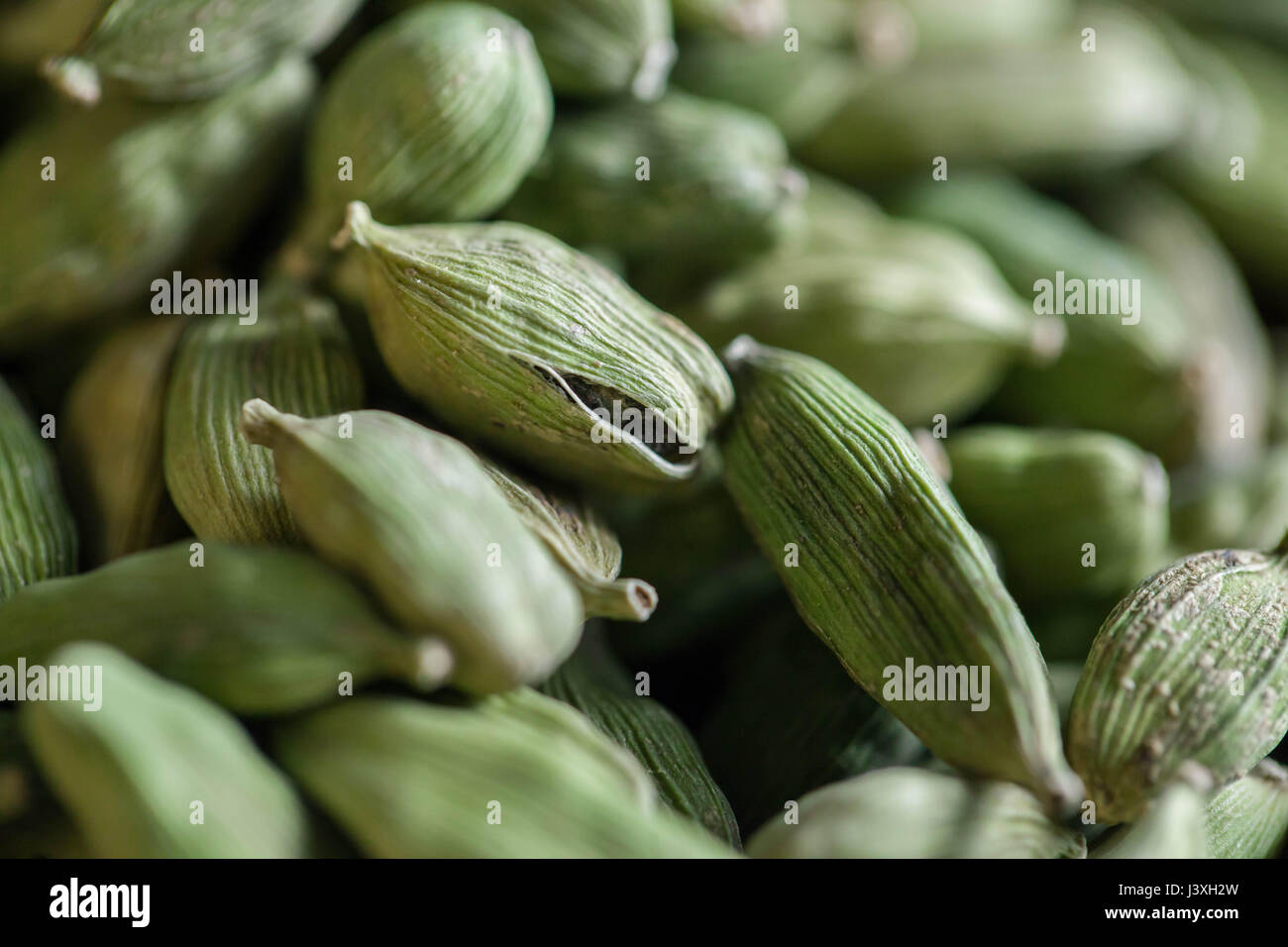 Green cardamom hi-res stock photography and images - Alamy