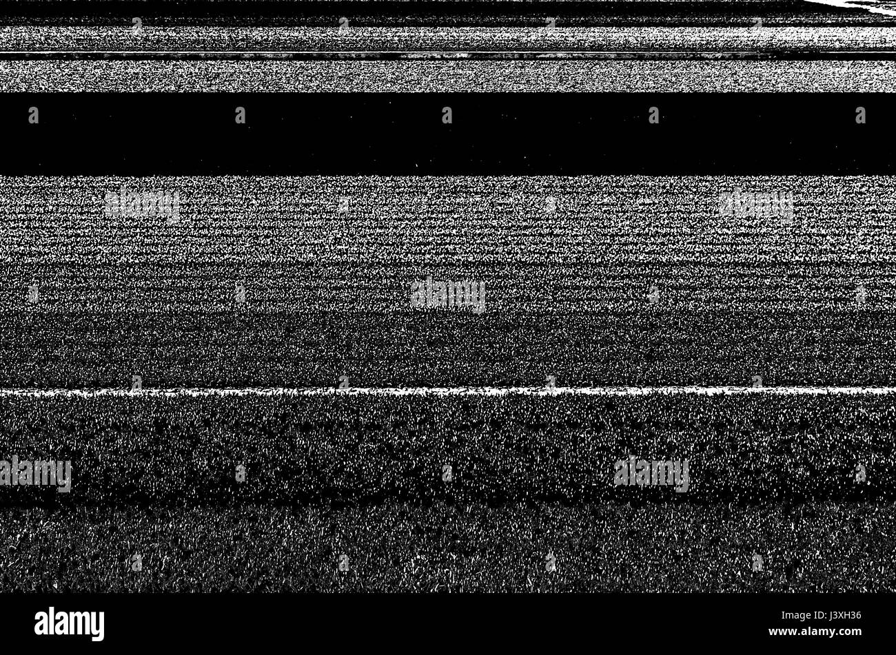 Field landscape, black and white image Stock Photo - Alamy