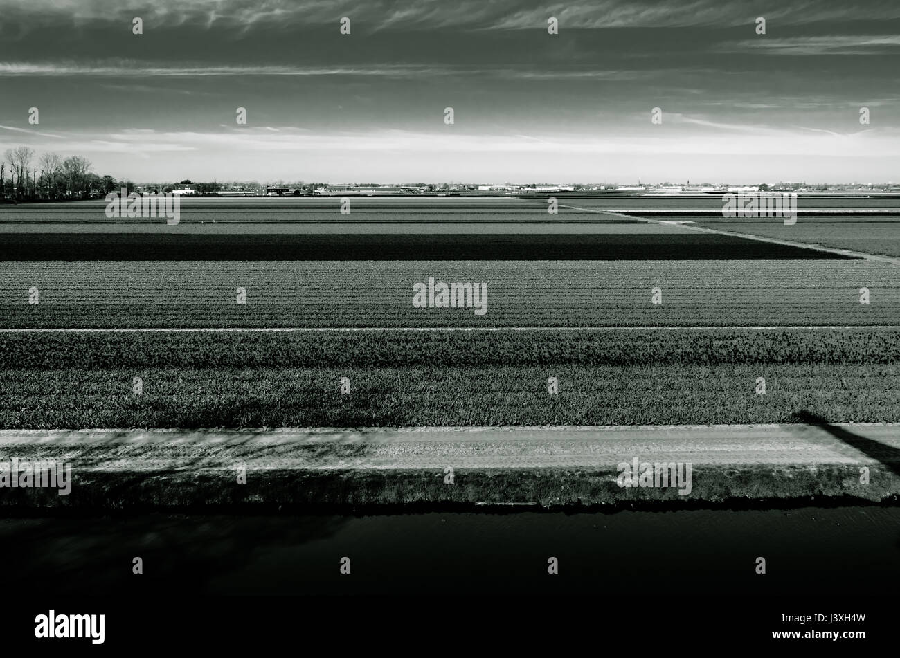 Field landscape, black and white image Stock Photo - Alamy