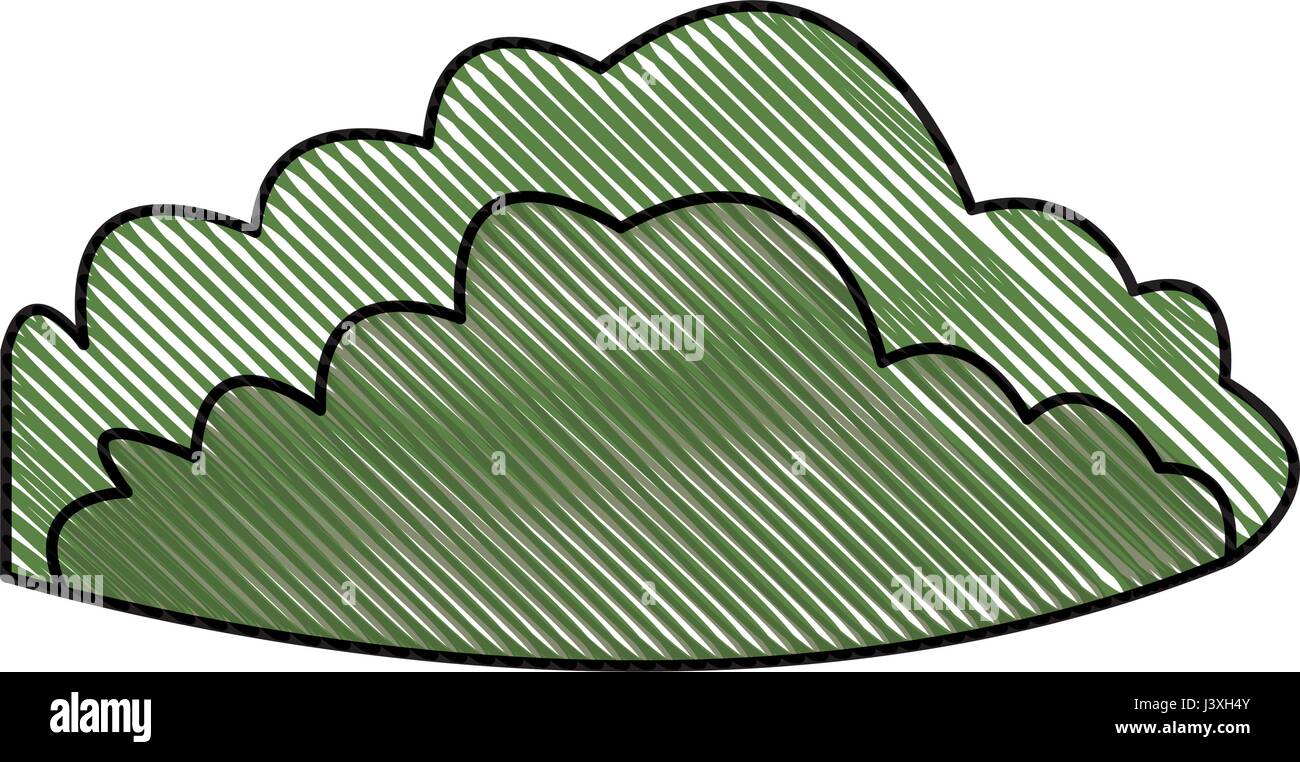 drawing green bush foliage natural Stock Vector Image & Art - Alamy