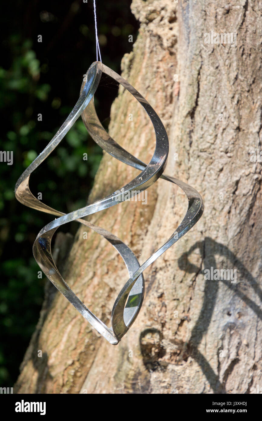 Twirling tree bark hi-res stock photography and images - Alamy