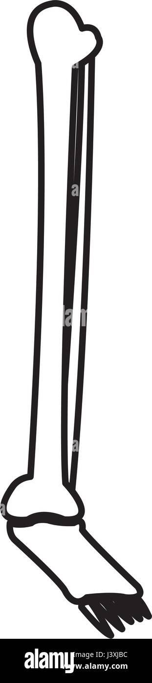 Skeleton human foot silhouette Stock Vector Images - Alamy