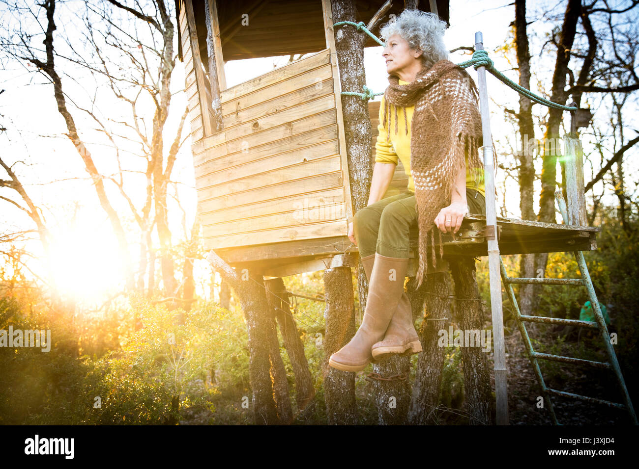 Mature woman looking out from woodland treehouse at sunset Stock Photo ...