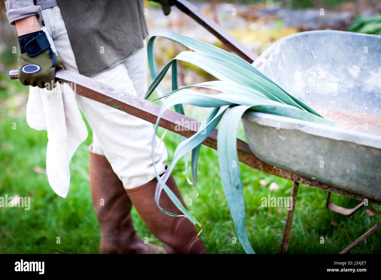 Wheelbarrow vegetable garden gardening hi-res stock photography and ...