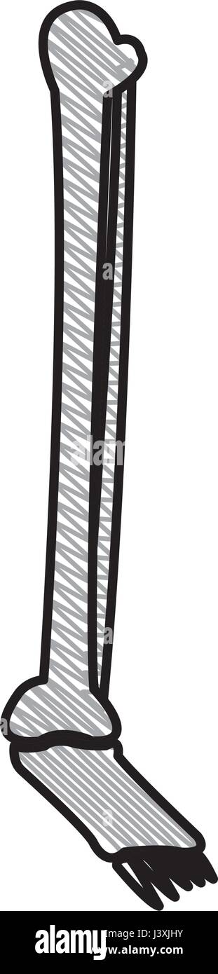 Skull femur rib foot Stock Vector Images - Alamy