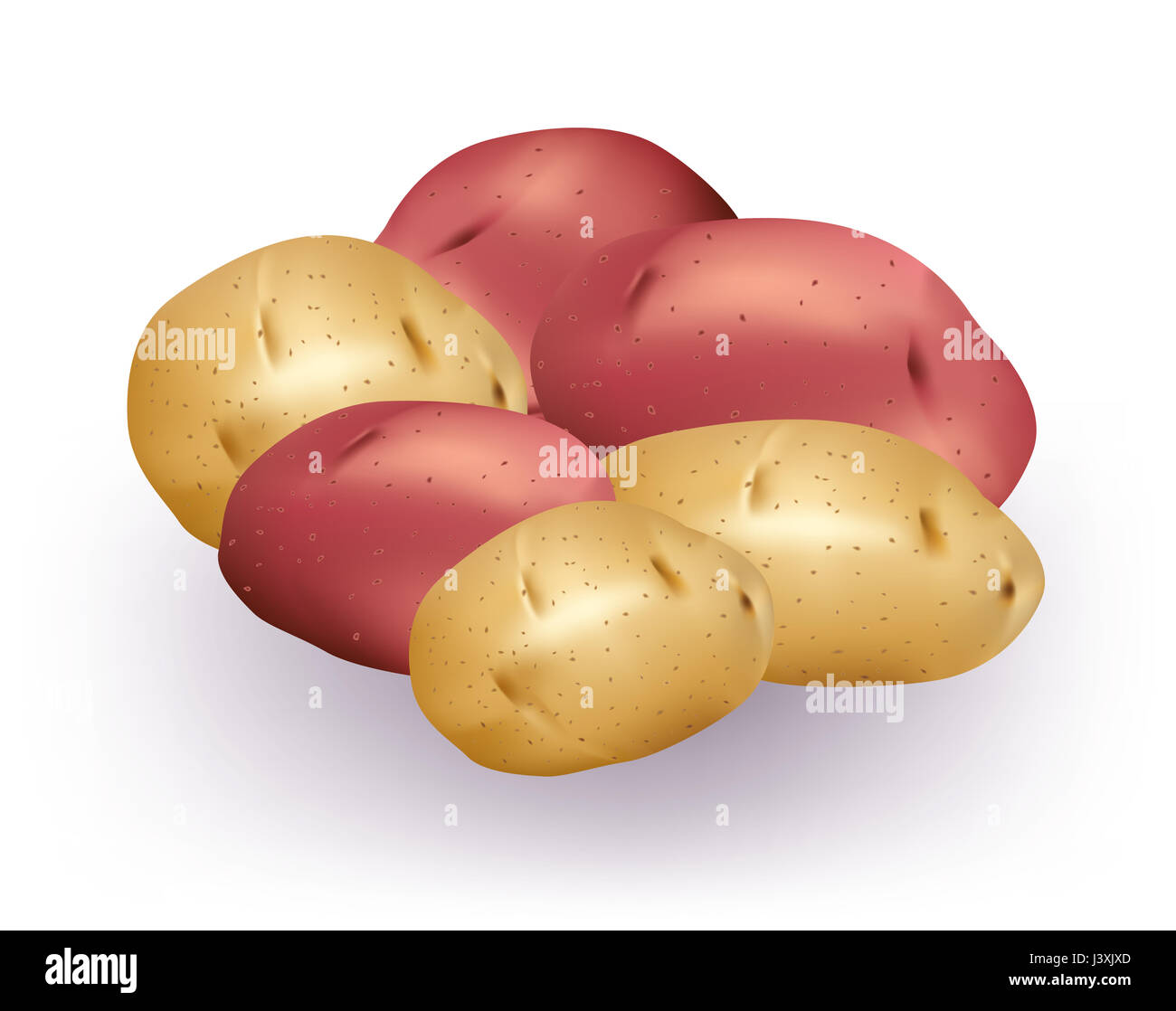 Potato Vector Vectors Stock Photos & Potato Vector Vectors Stock Images ...