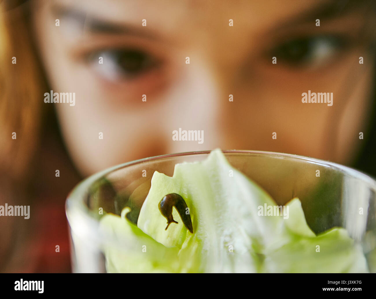 Slug up close hi-res stock photography and images - Alamy