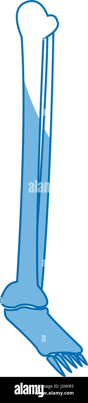 Ray human foot Stock Vector Images - Alamy