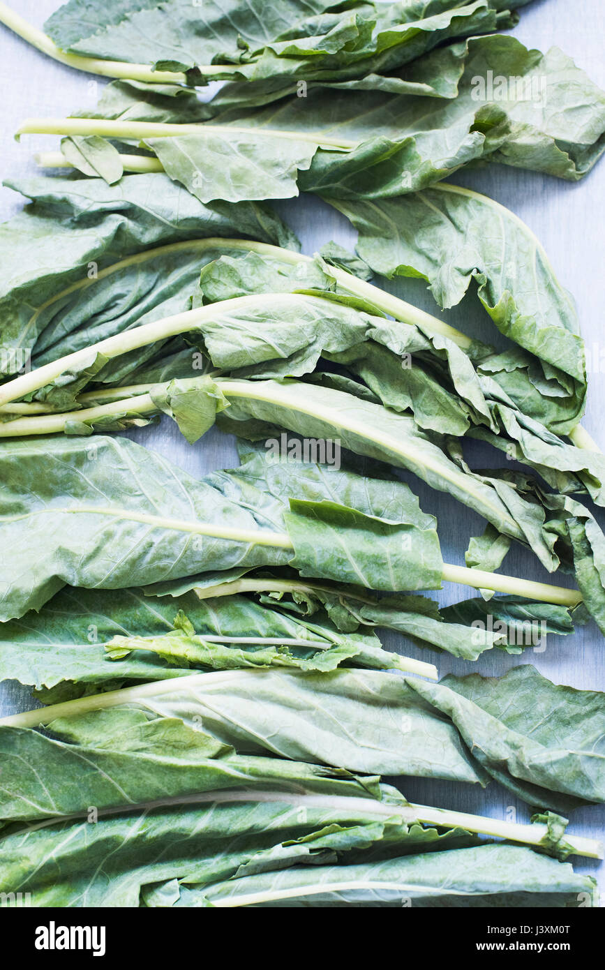 Green vegetable leaves Stock Photo - Alamy