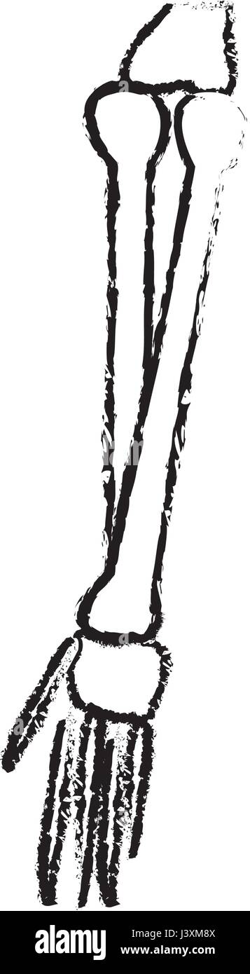 Skeletal parts Black and White Stock Photos & Images - Alamy