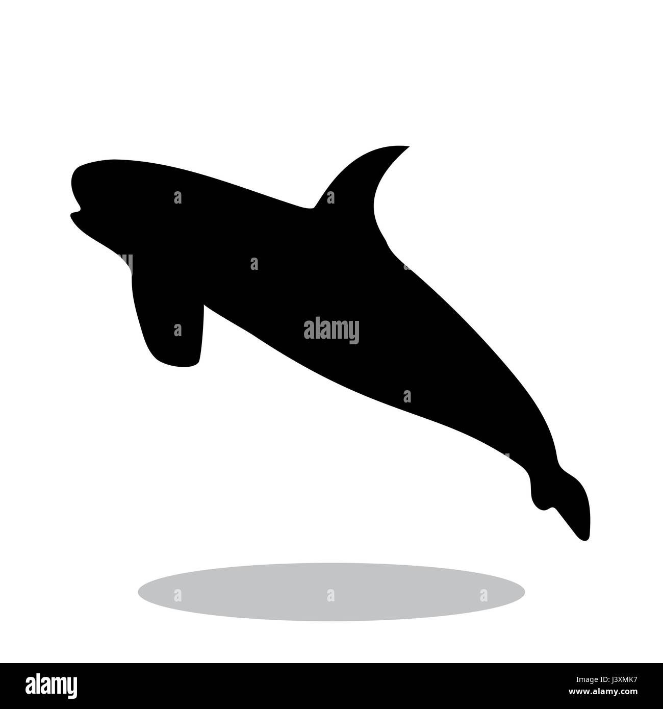 Ocean predator Cut Out Stock Images & Pictures - Alamy