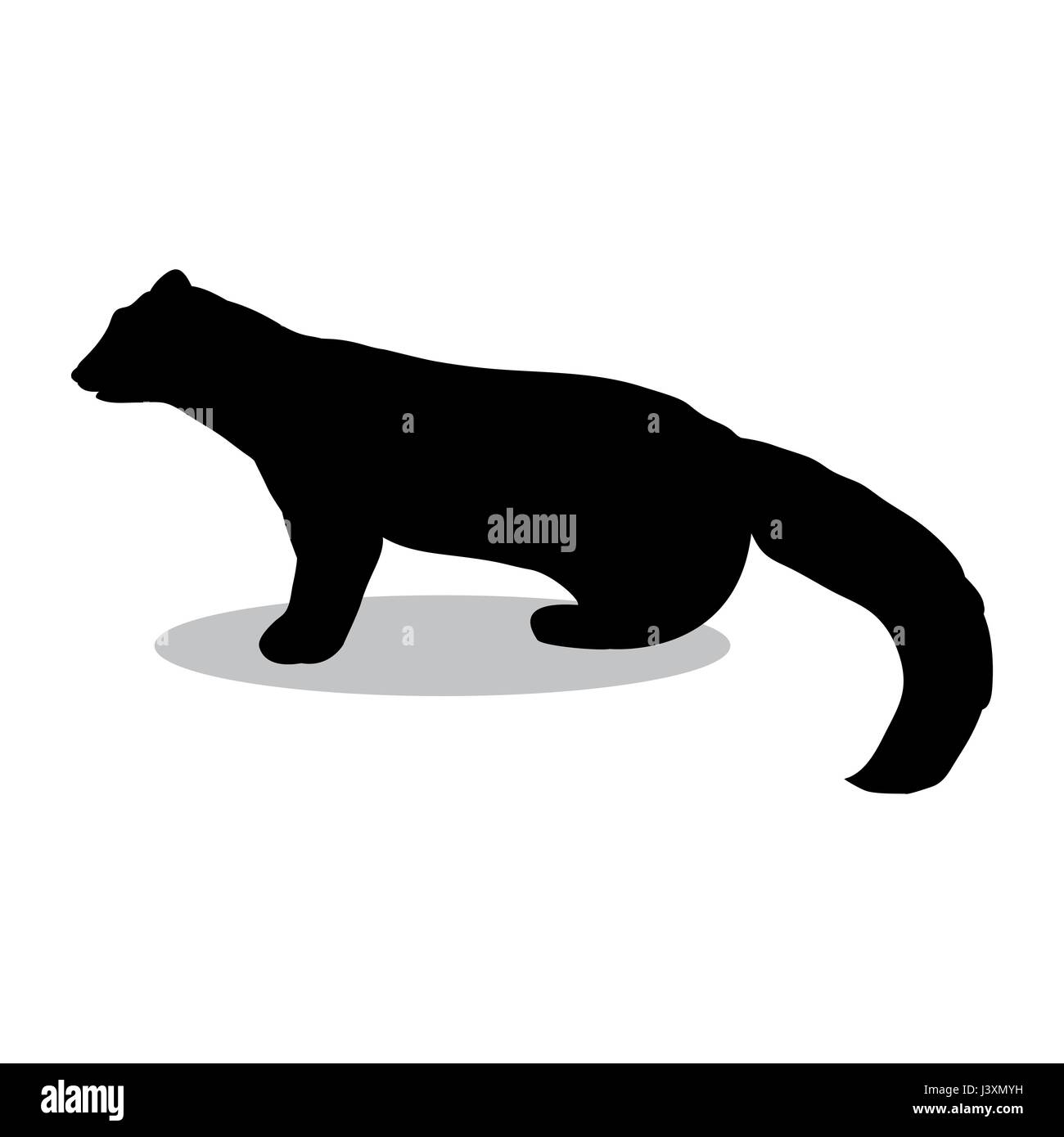 Marten Stock Vector Images - Alamy