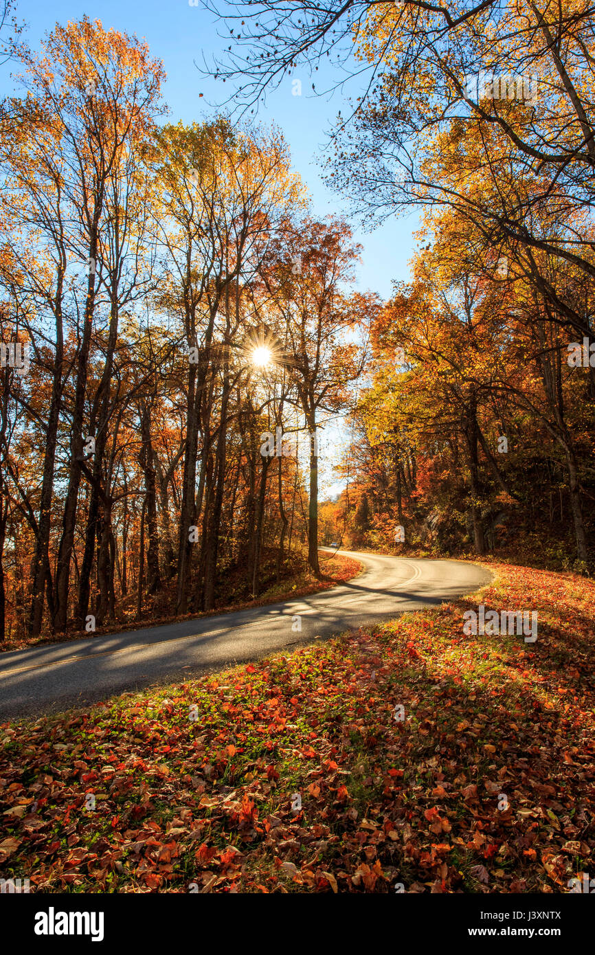 Fall leaves are shown on the Blue Ridge Parkway in Virginia Stock Photo ...