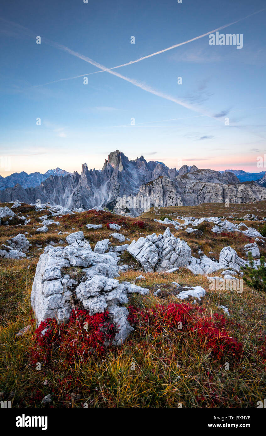 Sunset scenery in the Italian Dolomites. Bright red alpine flowers in ...
