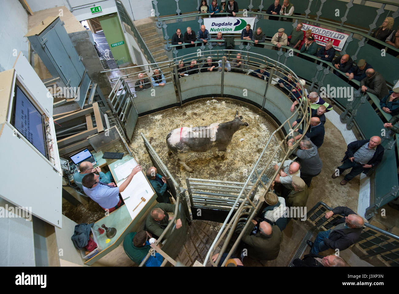 Prime ring hi-res stock photography and images - Alamy