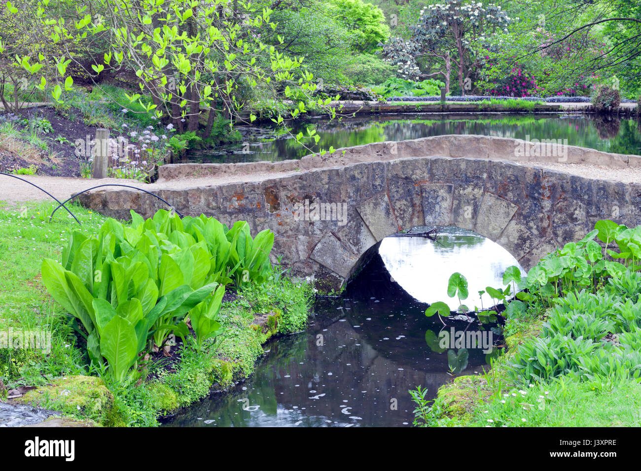 Stone bridge over a stream going to a lake, in green spring garden ...