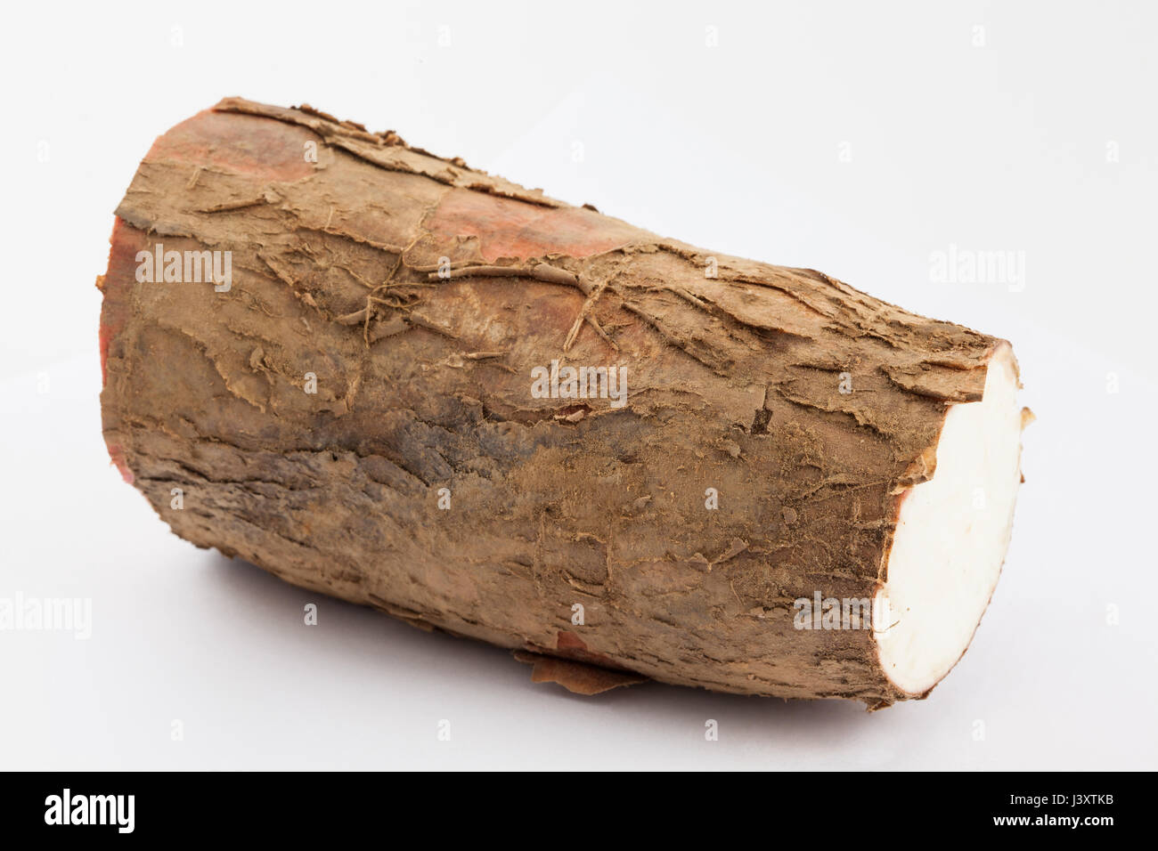 Cassava (Manihot esculenta) isolated in white background Stock Photo ...