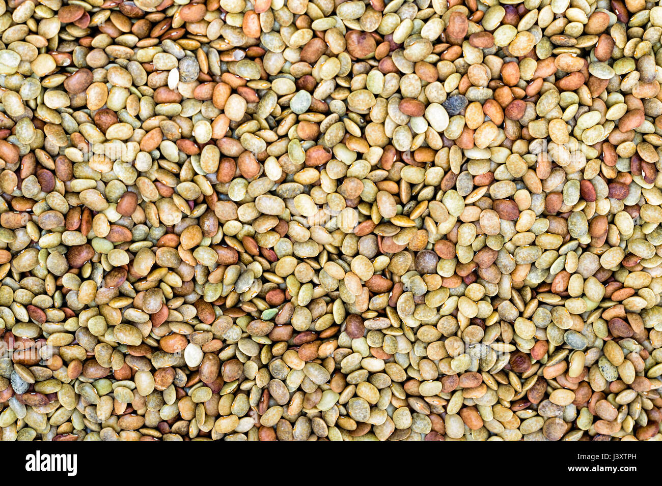 Horse gram hi-res stock photography and images - Alamy